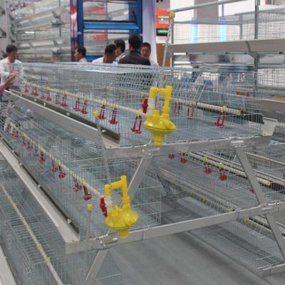 China Galinhas galvanizadas da gaiola 200-300 da galinha de grelha do mergulho quente/grupo à venda