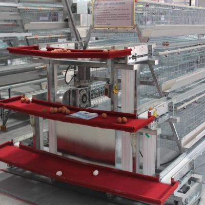 China 3 Tiers Automatic Battery Cage Poultry Farming A Type for sale