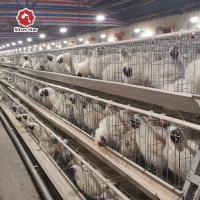 China 2000 Birds A Frame Layer Cages Layer Poultry Equipment SGS Approved for sale