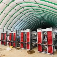 China H Type 5 Layer Automatic Layer Battery Cage 180x200x260cm for 120 Birds for sale