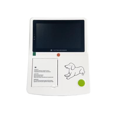 Cina Macchina ECG veterinaria affidabile con design leggero e memorizzazione sicura dei dati in vendita