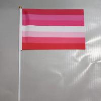 China Printed Double Sided Pride Flag Hand Held 100% Polyester Material for sale