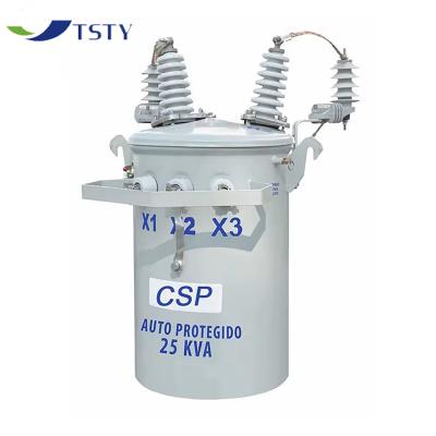 Cina 13.8kv 75kva Trasformatore monofase a bassa perdita per l'alimentazione nella frequenza 50/60Hz in vendita