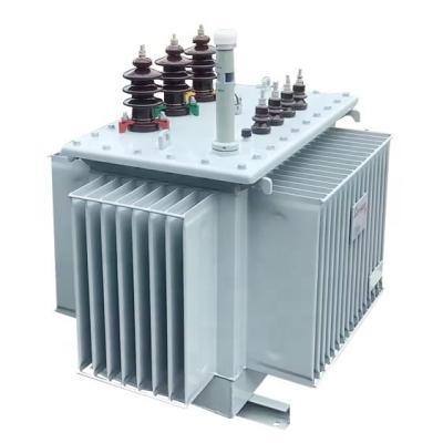 Cina 100kVA 10kV Transformatore montaggiato a potenza monofase 11kV 800kVA Transformatore immerso in olio in vendita