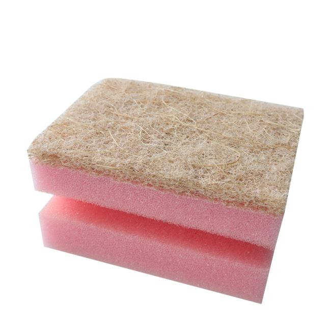 Sponge cleaning demonstration