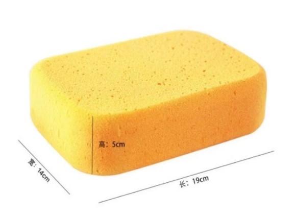 Sponge texture detail showing honeycomb structure