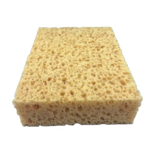 Sponge in use on vehicle windshield