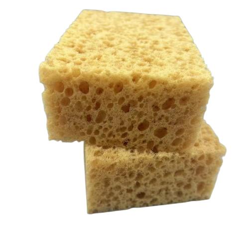 Comparison with regular car sponges