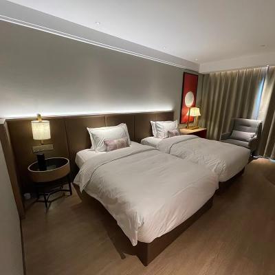 Cina La stanza standard della stella della mobilia di lusso degli hotel completamente ha personalizzato l'arredamento interno in vendita
