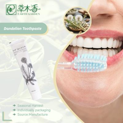 China Chinese Herbal Gum Antibacterial Botanical Toothpaste SLS Fights Plaque Naturally for sale