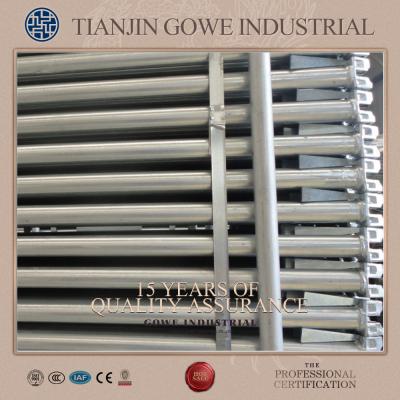 China High Standard Ring Lock Scaffolding System Q235/ Q345 for Construction for sale