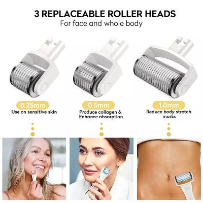 China 3 IN 1 LED Microneedle Roller Kit  LED 0.5 mm  Dr. pen Derma Roller Derma Rolling System for sale