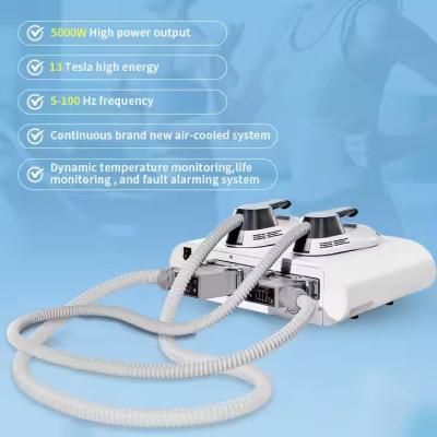 Cina Portatile 13 Telsa aumento muscolare perdita di grasso emslim zero corpo sottile 5000w ems macchina di scultura del corpo per salone in vendita