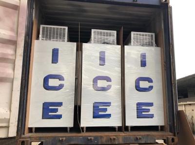 China O anúncio publicitário refrigerou o escaninho de armazenamento ensacado do gelo à venda