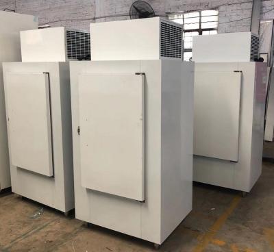 Cina Congelatore solido commerciale del ghiaccio della porta del Merchandiser del frigorifero all'aperto di immagazzinamento nel ghiaccio in vendita
