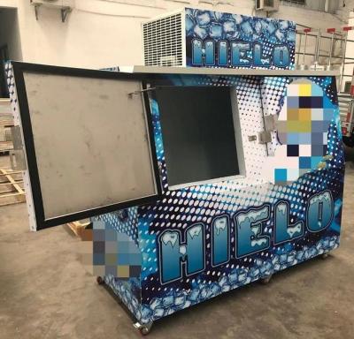 China De commerciële Openlucht In zakken gedane Diepvriezer van de Ijsopslag, Diepvriezer van het Ventilator de Koelijsblokje Te koop