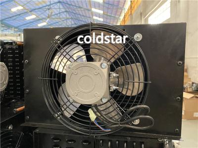中国 食料雑貨品店は冷蔵庫の冷凍庫/縦のフリーザー/表示フリーザーを示す 販売のため