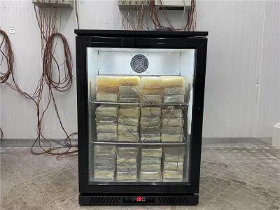 Cina Dispositivo di raffreddamento posteriore di Antivari/dispositivo di raffreddamento commerciale bevanda/del frigorifero/dispositivo di raffreddamento della birra/Mini Beverage Cooler incorporato in vendita