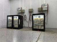 China Bar Beverage Fridge Back Bar Bottle Cooler With Compressor for sale