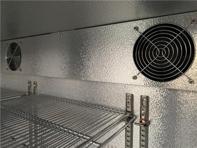 Cina Dispositivo di raffreddamento posteriore di Antivari/dispositivo di raffreddamento commerciale bevanda/del frigorifero/dispositivo di raffreddamento della birra/Mini Beverage Cooler incorporato in vendita