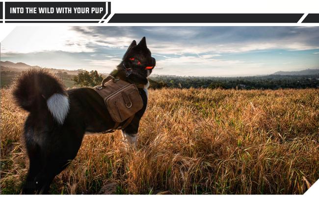 Dog Pack Hound Travel Camping Hiking Backpack Saddle Bag Rucksack for Medium & Large Dog Bag