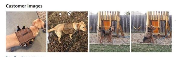Dog Backpack Lightweight - Hiking, Camping, Shopping, Walking with Your Pet Dog Backpack