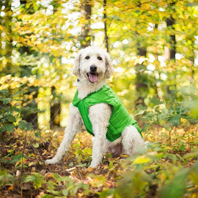 Packable Winter Pet Jacket Ideal for Cold-Weather Activities Vest Style Pet Coat with Fleece Lining