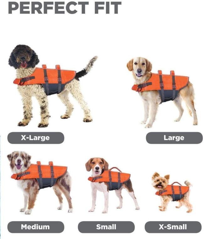 Safe & Durable Dog Float Coat Life Jacket with One Rescue Handle
