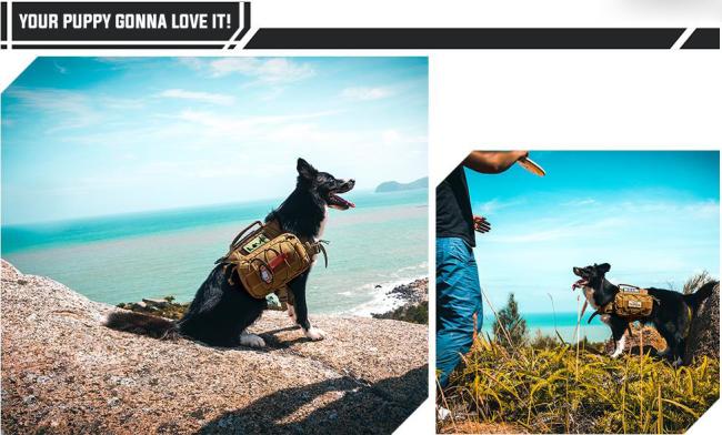 Upgraded Version-M Dog Carrier Backpack Breathable Mesh Lining Dog Travel Backpack, Outdoor Dog Products
