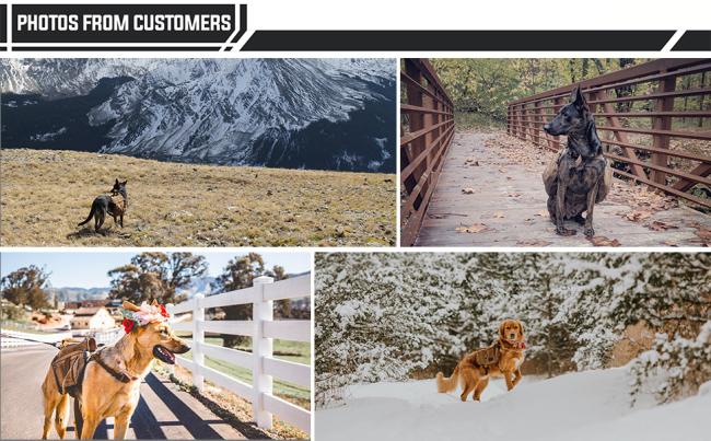 Ideal Outdoor Adventure Dog Pack Similar to Kurgo Dog Backpack for Tactical Dog's Breed