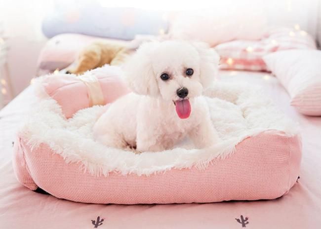Cute Design Fleece Bows Pet Pads Cushion Warm Dog Beds