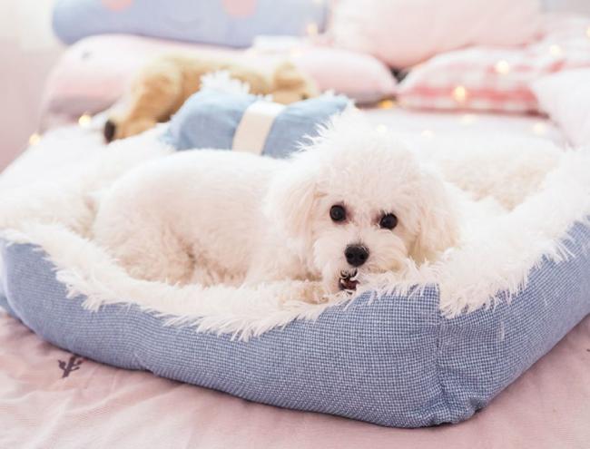 Cute Design Fleece Bows Pet Pads Cushion Warm Dog Beds