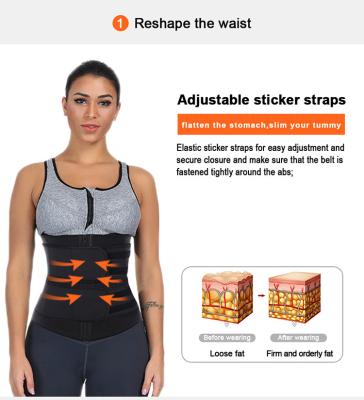 Китай HEXIN Zipper Front Compression Double Belt Neoprene/Latex Waist Trainer для женщин, занимающихся формообразованием продается