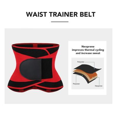 Cina Trimmer di fascia di spessore standard, allenatore di fascia per la dimagrimento e la combustione dei grassi delle donne in vendita