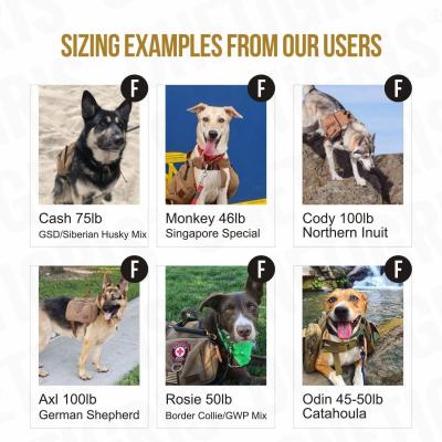 Cina Viaggio del segugio che si accampa facendo un'escursione lo Zaino della fonda dello zaino per il pacchetto medio & grande del cane in vendita