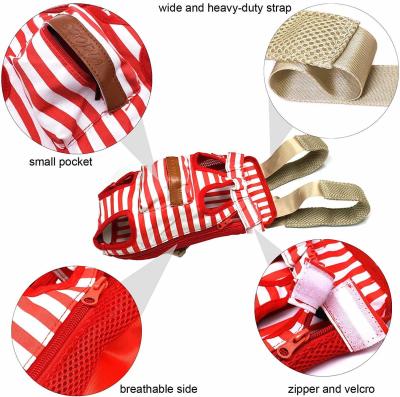 China Large Dog Backpack Carrier Pet Cat Carrier Backpack for Hiking for sale