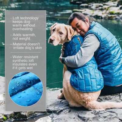 Cina Rivestimento di inverno del cane perfetto per la camminata e eseguire usura del cappotto dell'animale domestico di sport all'aperto con il cablaggio dentro in vendita
