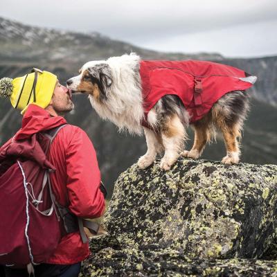 China Dog Winter Jacket Fits Dogs of All Sizes with Durable Rip-Stop Material Made for Three Season Coverage While Allowing for Natural Movement for sale