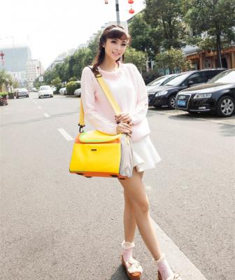 Cina Trasportatori di nylon del cane di Mesh Pet Shoulder Bag Outdoor di modo in vendita