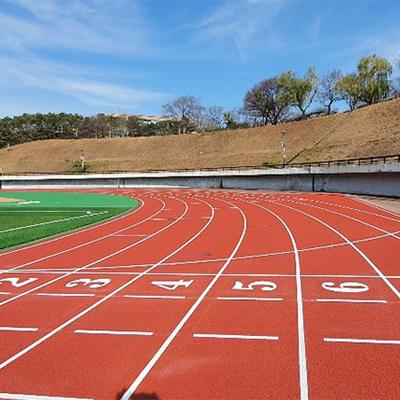 China Hybrid Running Track Surface Material Wear Resistance Polyurethane Track Surface for sale