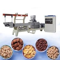 China Automatic Corn Flakes Production Line 100-250 kg/h Breakfast Cereal Extruder for sale
