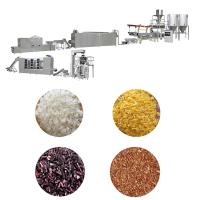 China Automatic Artificial Rice Extruder Machine 250kg/H Double Screw Production Line for sale