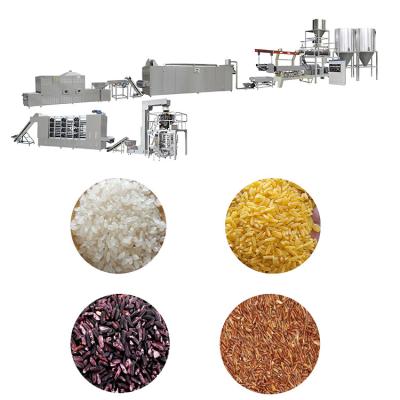 Cina Automatic Artificial Rice Extruder Machine 250kg/H in vendita
