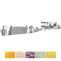China Double Screw Extrude Bread Crumb Production Line 100kg/h to 10 ton/h Automatic for sale