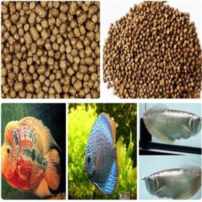 Cina Il pesce MT65 l'attrezzatura 500KG/H di lavoro a catena di lavorazione degli alimenti in vendita
