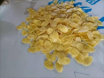 China MT65 MT70 Corn Flakes Making Breakfast Cereal Machine 1500kg for sale