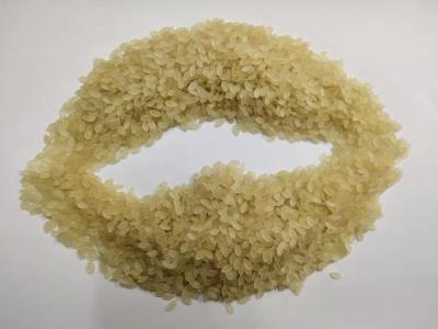 Cina Linea di trasformazione estrusore a vite del riso artificiale di SIEMENS gemellato multifunzionale in vendita