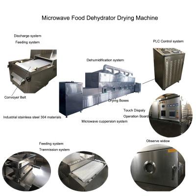 Cina Controllo dello SpA dell'asciugatrice di microonda di Sterilizatio della larva delle larve BSF della mosca in vendita
