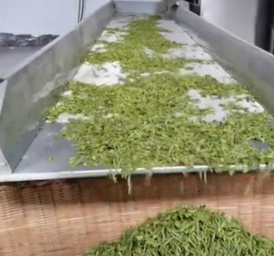 Cina Controllo dello SpA dell'asciugatrice di microonda di Sterilizatio della larva delle larve BSF della mosca in vendita