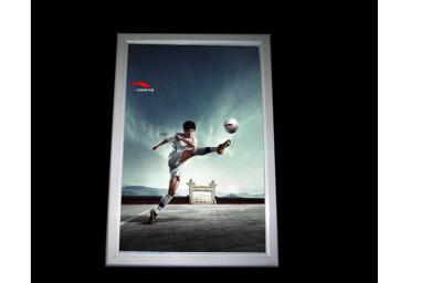 Cina Pubblicità luminosità esile Frameless della scatola leggera del LED di alta con a calore ridotto in vendita